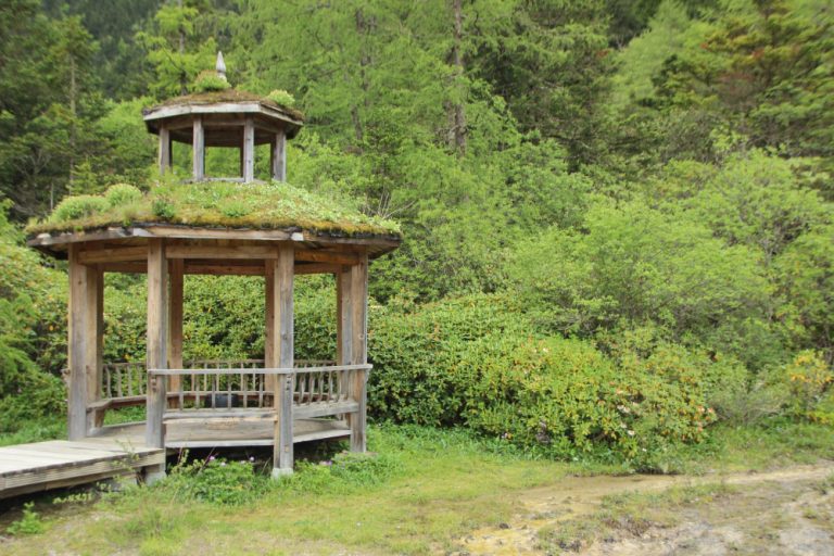 20 Top Octagonal Roof Design Ideas for Modern Homes