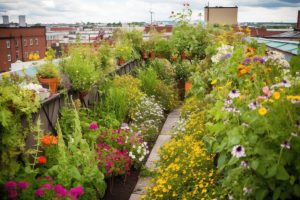 20 Urban Oasis Roof Garden Designs: Modern Ideas Revealed