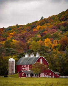 20 Top Barn Roof Design Ideas for Achieving a Stylish Rural Look