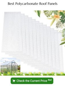 Top 20 Polycarbonate Roof Design Ideas for Modern Homes