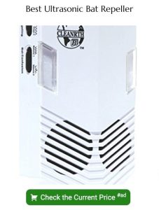 How to Get Rid of Bats in Roof: Easy Steps to a Bat-Free Home